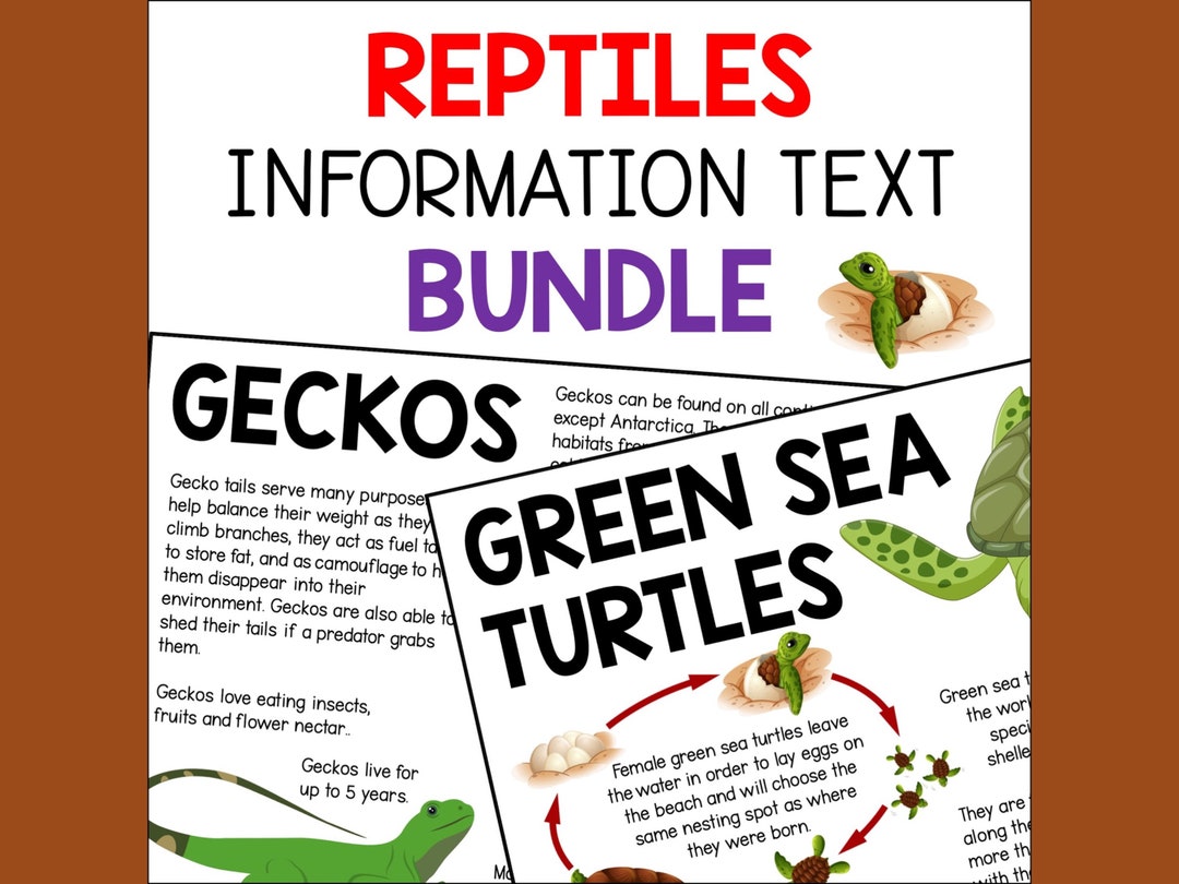 Reptile Information Reading Passages for Kids, Fun Facts About Reptiles ...