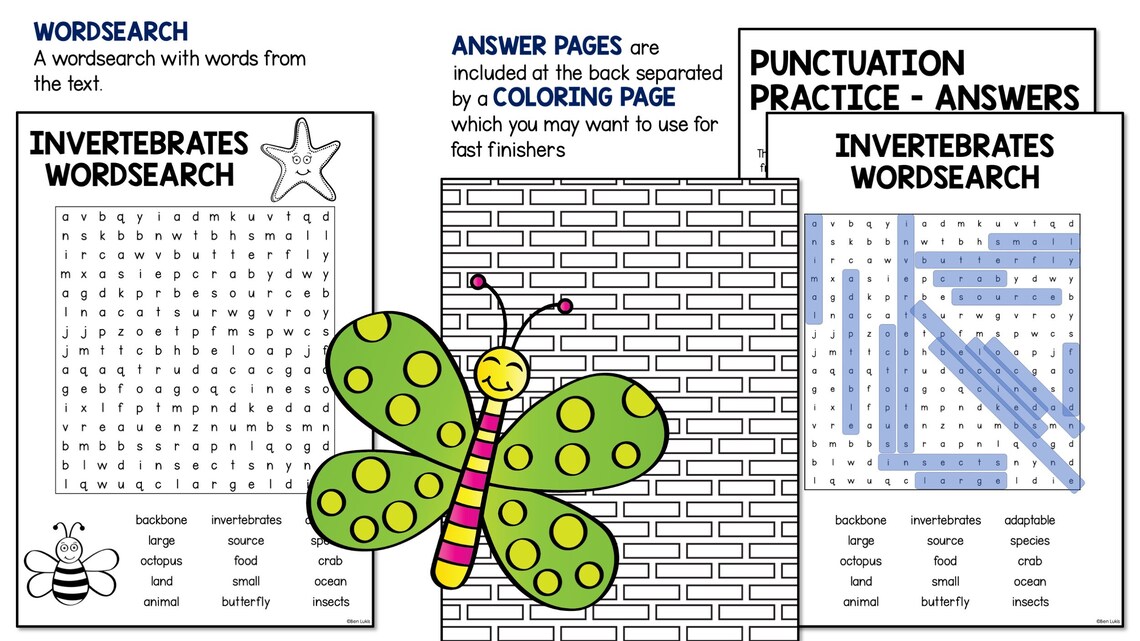 Invertebrates Literacy Activities for A Week, Reading Writing and More ...