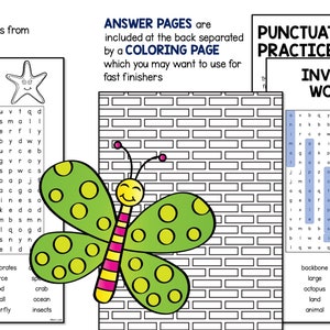 Invertebrates Literacy Activities for A Week, Reading Writing and More ...