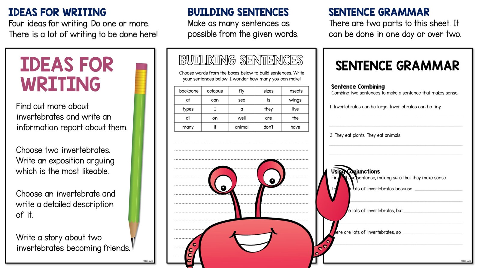 Invertebrates Literacy Activities for A Week, Reading Writing and More ...