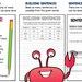 Invertebrates Literacy Activities for A Week, Reading Writing and More ...