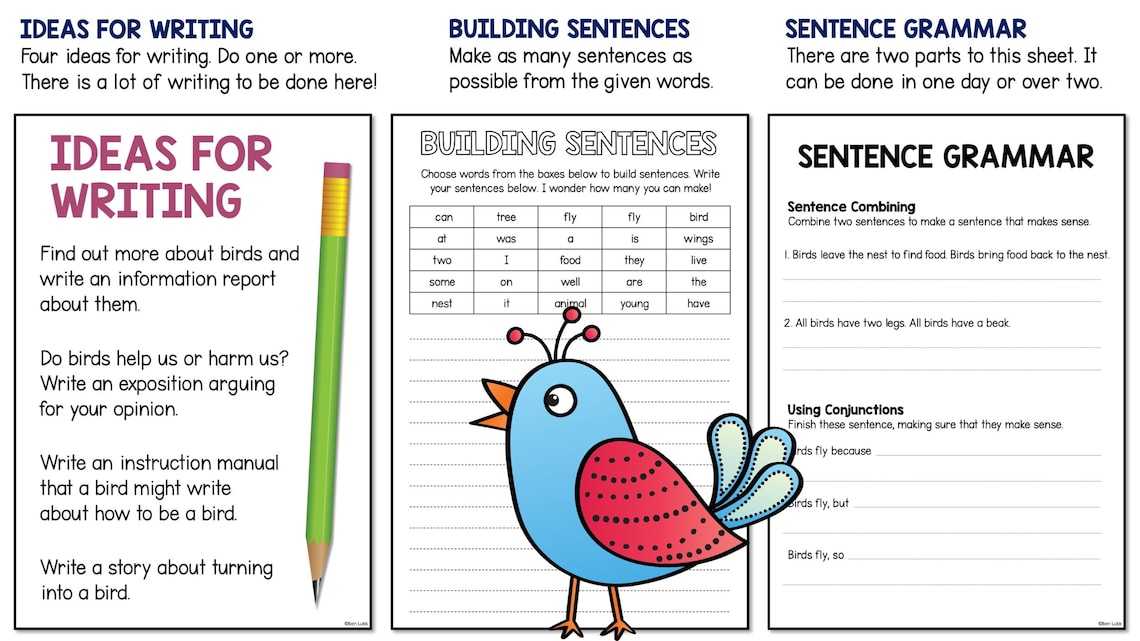 Birds Literacy Activities for A Week for 2nd Grade and 3rd Grade ...