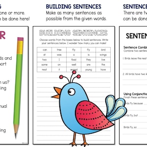 Birds Literacy Activities for A Week for 2nd Grade and 3rd Grade ...