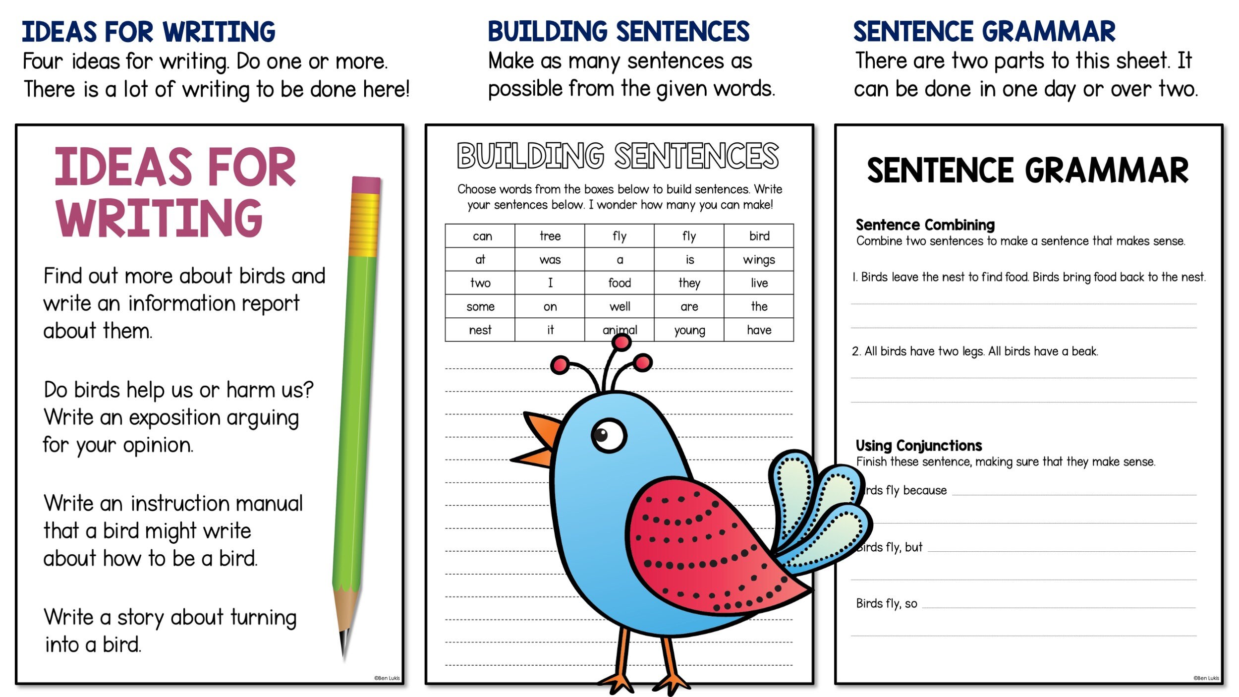 Birds Literacy Activities for A Week for 2nd Grade and 3rd Grade ...