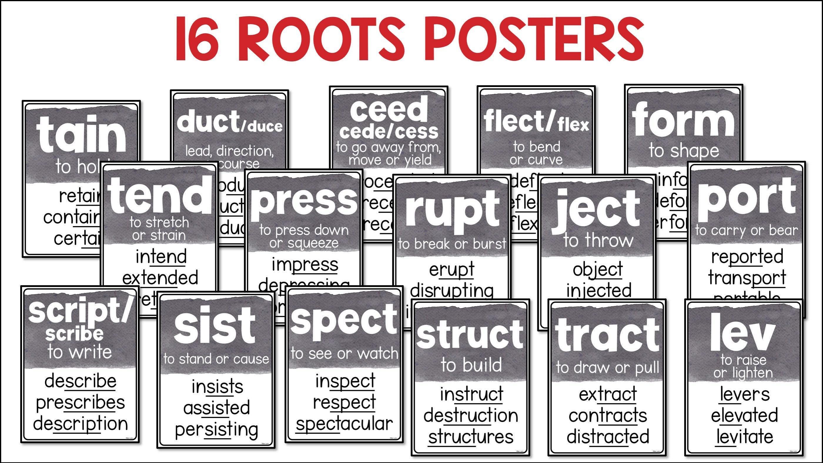 Prefix, Suffix & Word Root Educational Posters, Morphology Visuals for ...