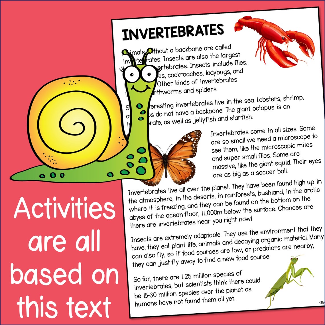Invertebrates Literacy Activities for A Week, Reading Writing and More ...