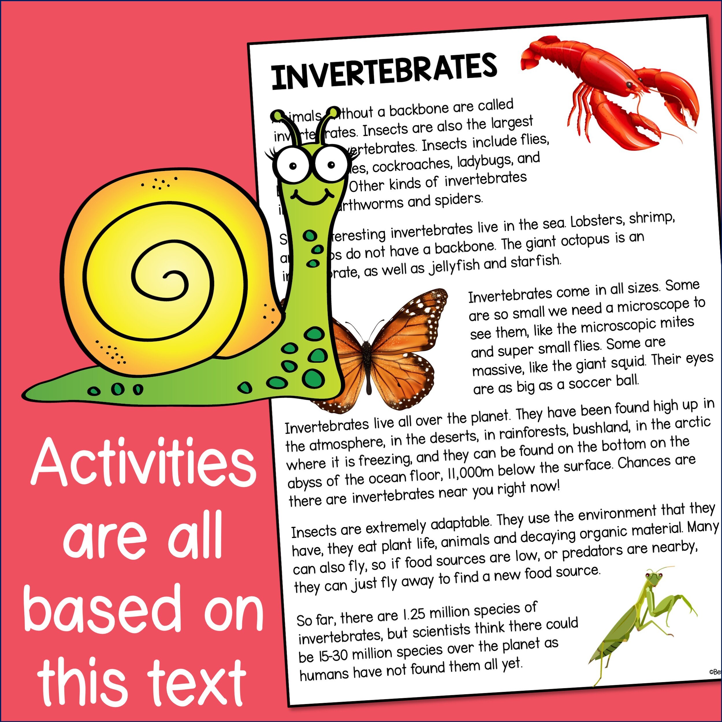 Invertebrates Literacy Activities for A Week, Reading Writing and More ...