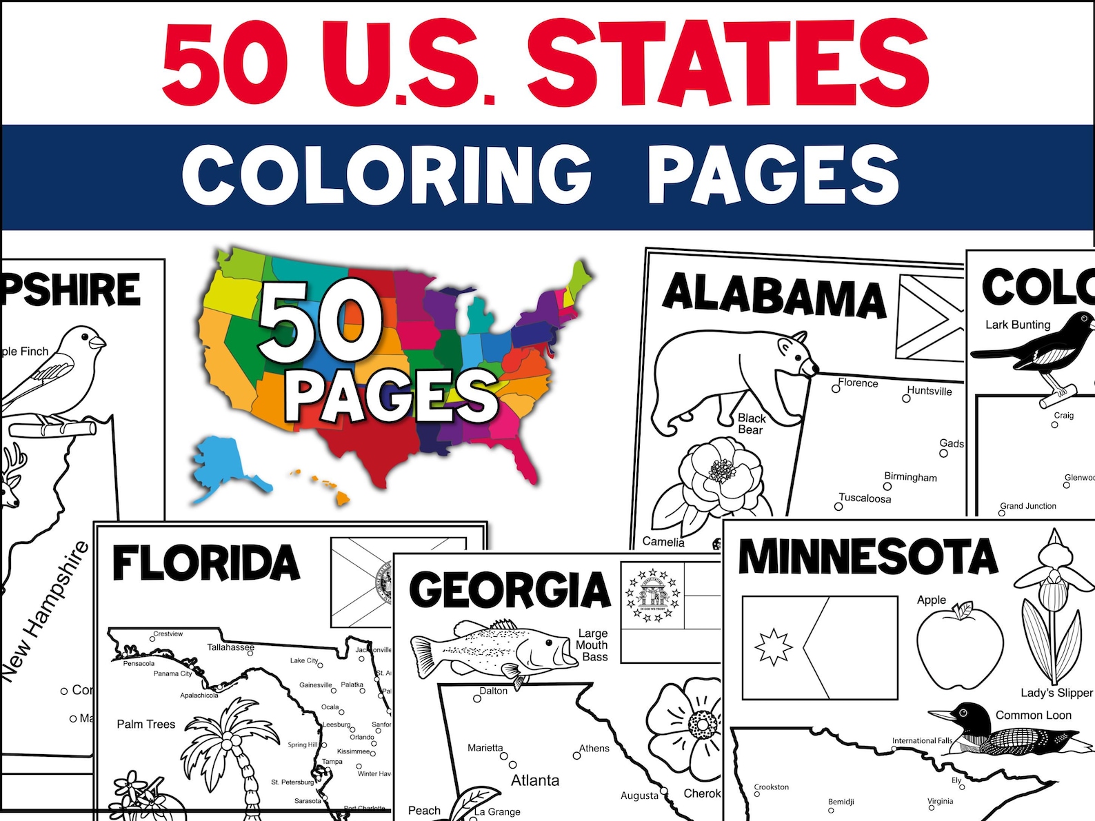 50 USA States Coloring Pages, US State Symbols and Flags, School ...