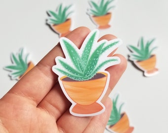 Aloe Vera Sticker - Etsy
