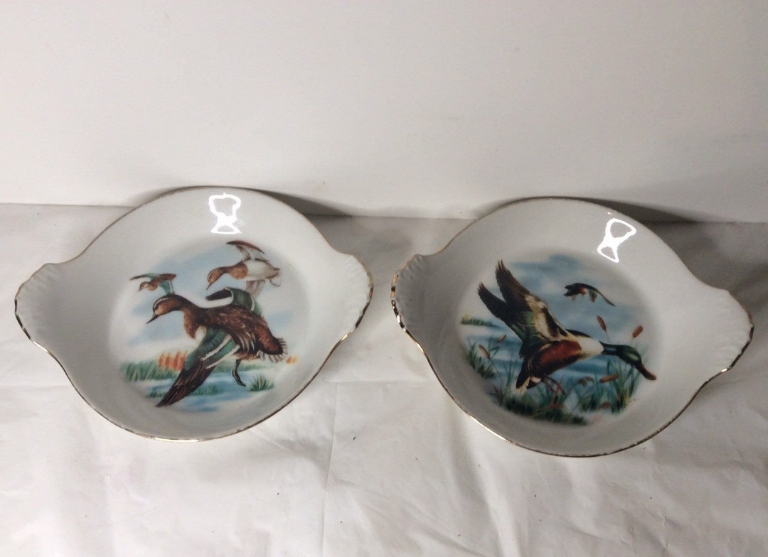 Vintage Apilco Porcelaine Au Feu France, “game Series” Au Gratin Bowls. - Etsy