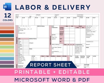 Labor and Delivery Nurse Report/brain Sheet (2 Patient) - Etsy