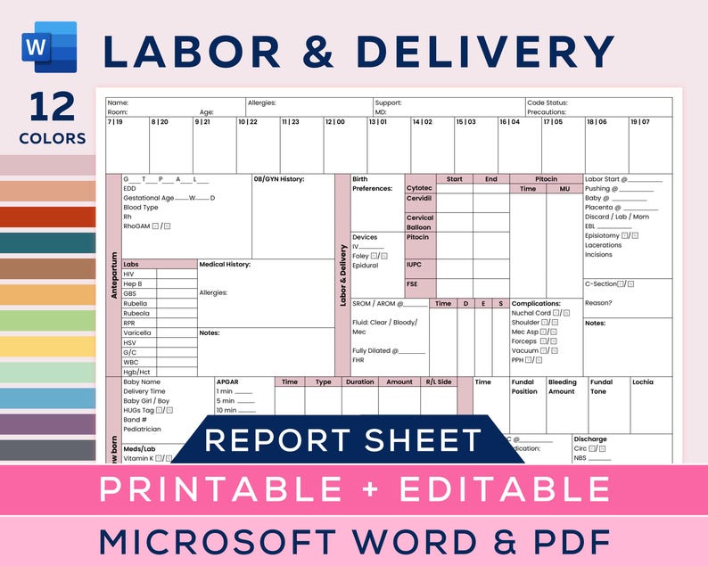 Labor and Delivery Nurse Report Sheet, Nurse Brain Sheet, 1–2 Patients ...