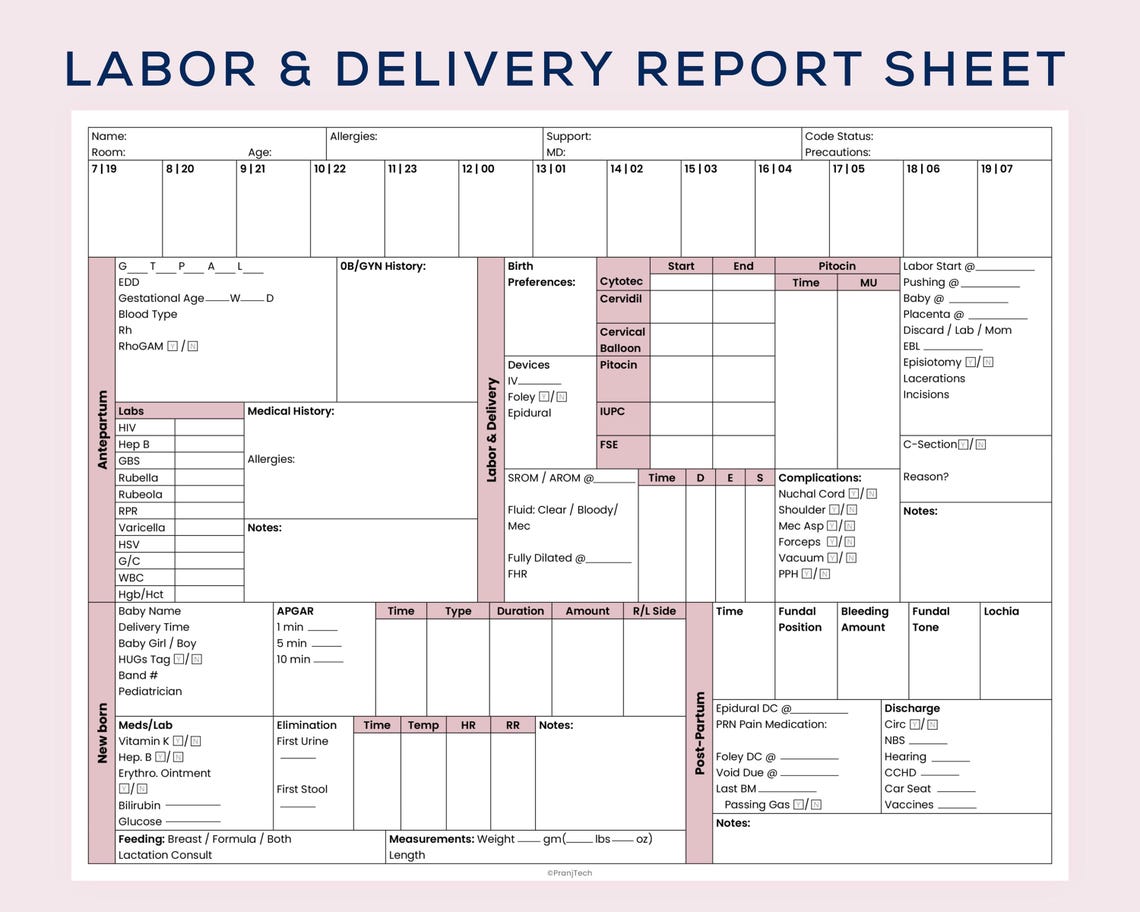 Labor and Delivery Nurse Report Sheet, Nurse Brain Sheet, 1–2 Patients ...