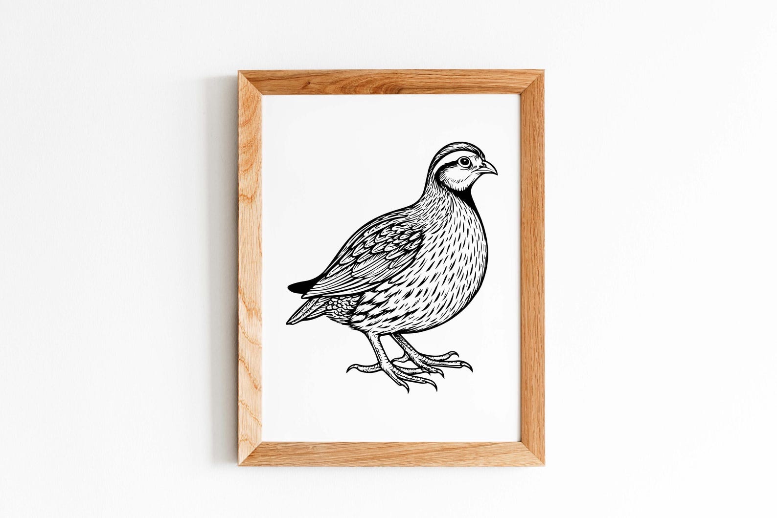 Quail Clipart,quail Svg,quail Dxf,quail Bird Clipart,quail Bird Png ...