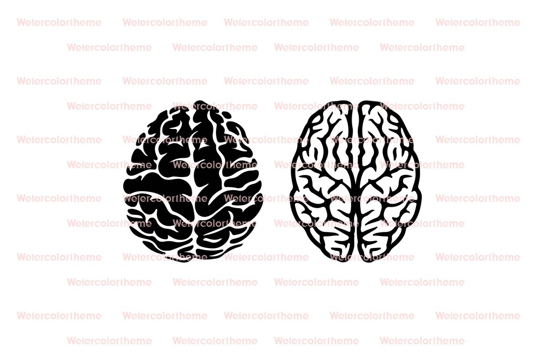 Brain Clipart,brain Vector,brain Silhouette,brain Png,brain Cut File ...