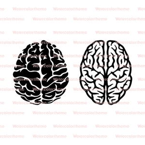 Brain Clipart,brain Vector,brain Silhouette,brain Png,brain Cut File ...