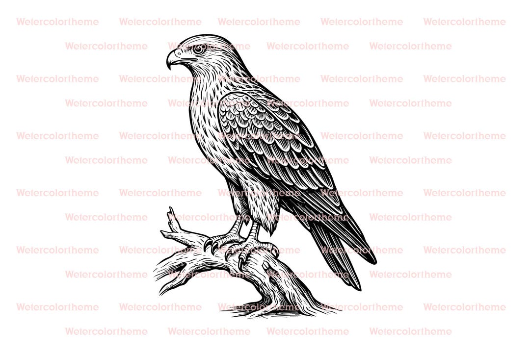 Hawk Svg,hawk Line Art,hawk Line Drawing,atlanta Hawks Svg,hawk on ...