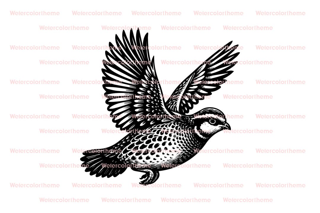 Bobwhite Quail Svg,flying Quail Svg,quail Silhouette Svg,bobwhite Quail ...