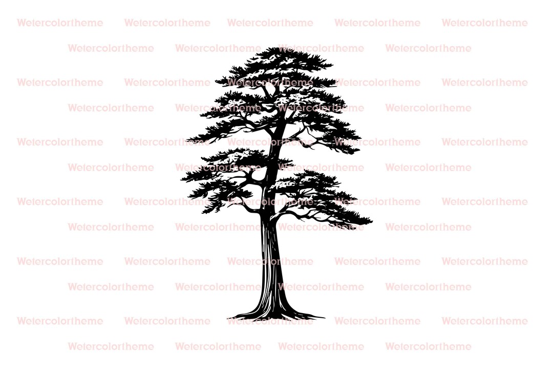 Cedar Tree Cut File,cedar Tree Svg,cedar Cut File,cedar Tree Outline ...