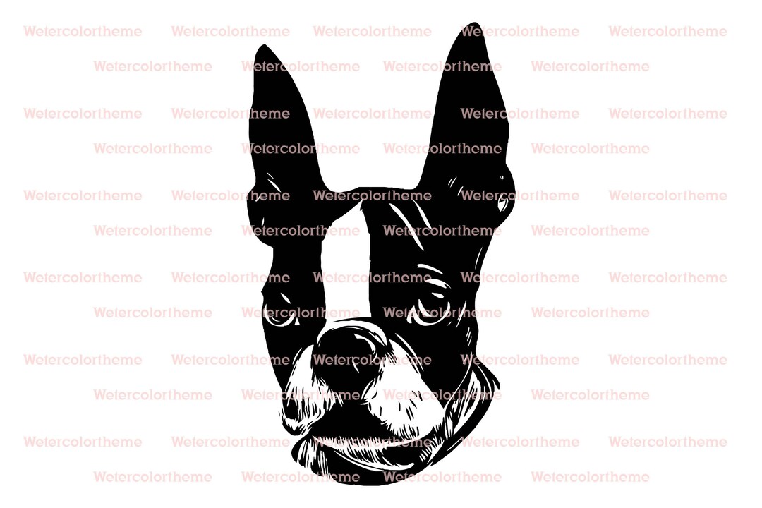Boston Terrier Svgterrier Svgboston Terrier Craft - Etsy