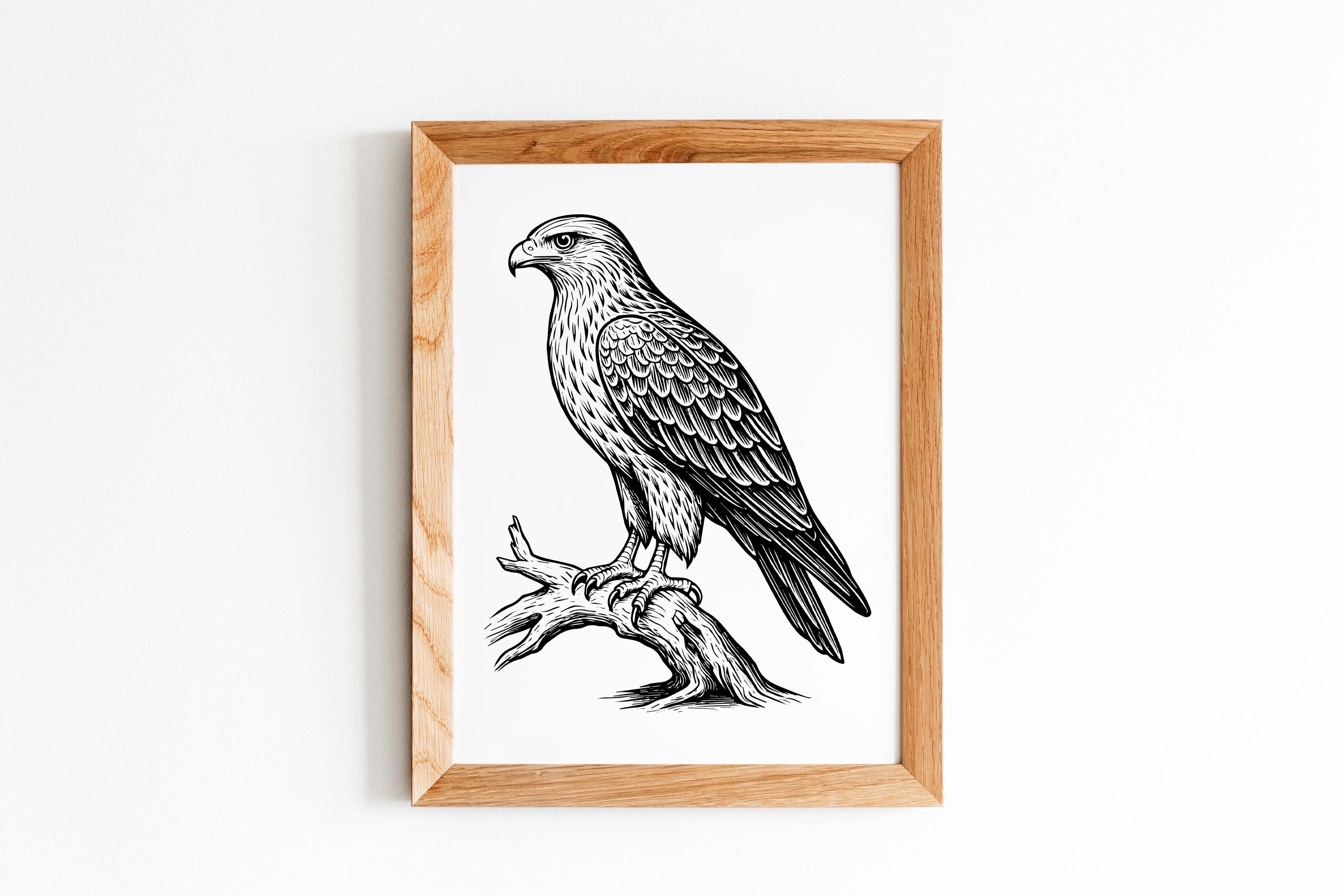 Hawk Svg,hawk Line Art,hawk Line Drawing,atlanta Hawks Svg,hawk on ...