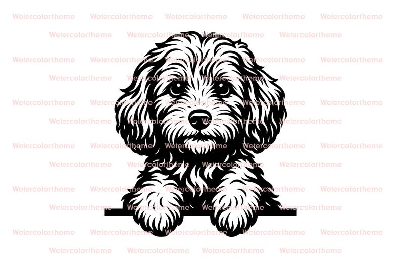 Peeking Cavapoo Svg,cavapoo Face Clipart,cavapoo Svg,cute Cavapoo Svg ...