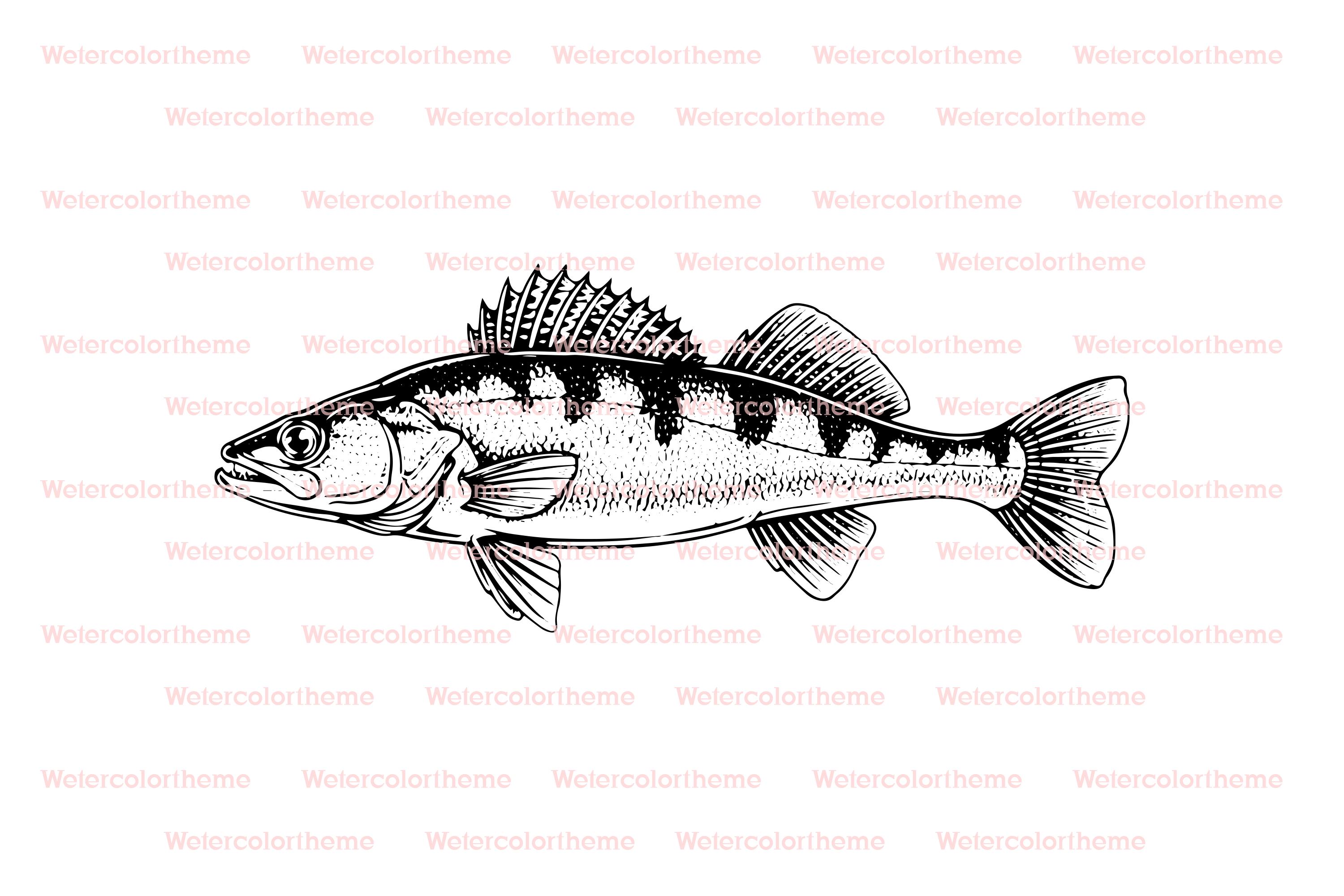 Walleye Fish Svg,walleye Fish Vector,walleye Silhouette,walleye Cut ...
