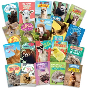 40 Funny Animal Postcards - Bulk Thinking of You Postcard Pack for Kids ...