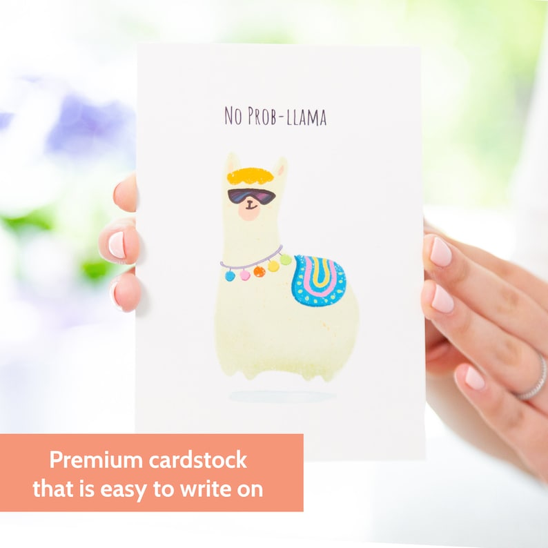 40 Funny Postcards Punny Puns - Bulk Thinking of You Postcard Pack for ...