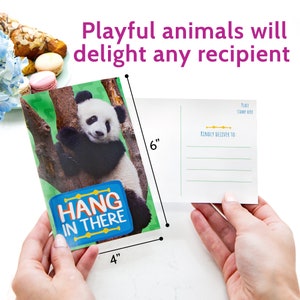 40 Funny Animal Postcards - Bulk Thinking of You Postcard Pack for Kids ...