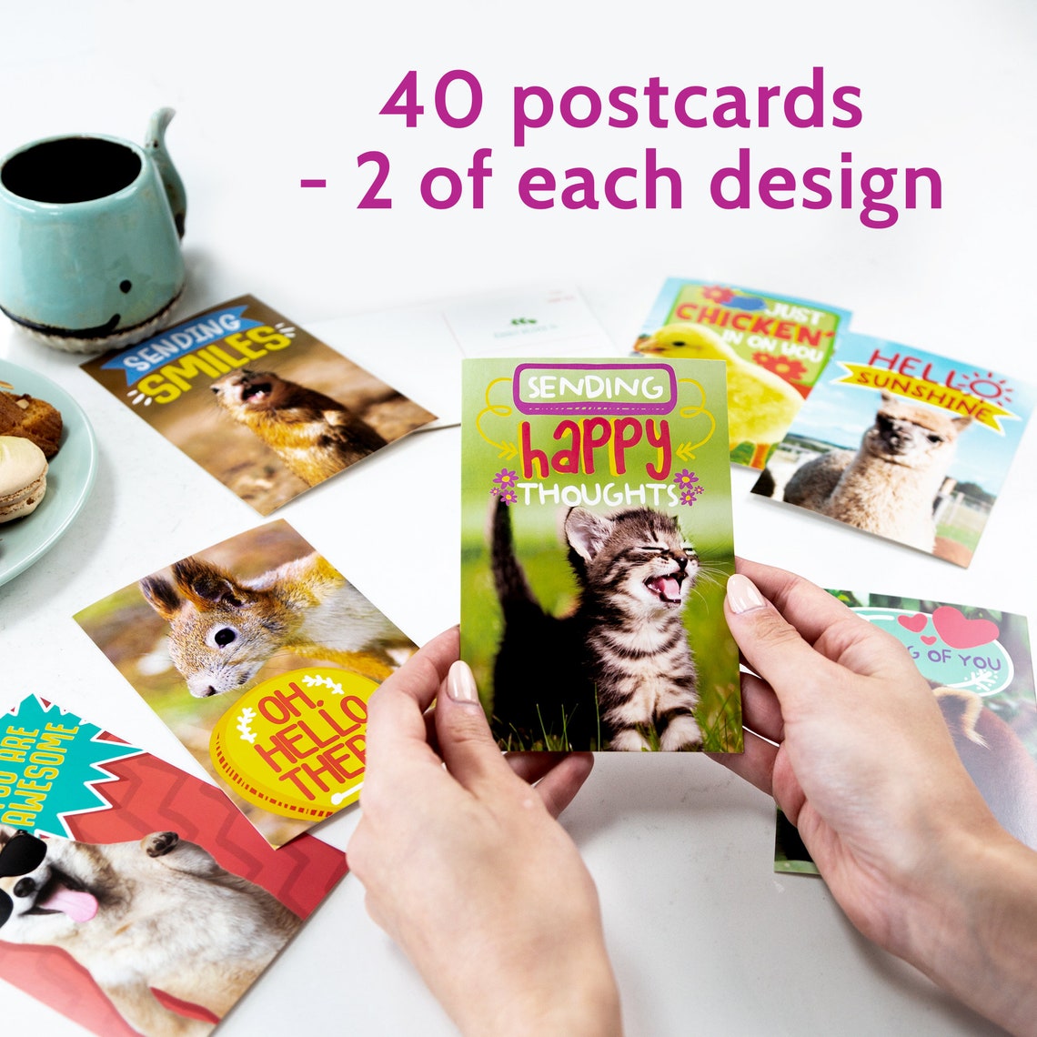 40 Funny Animal Postcards - Bulk Thinking of You Postcard Pack for Kids ...