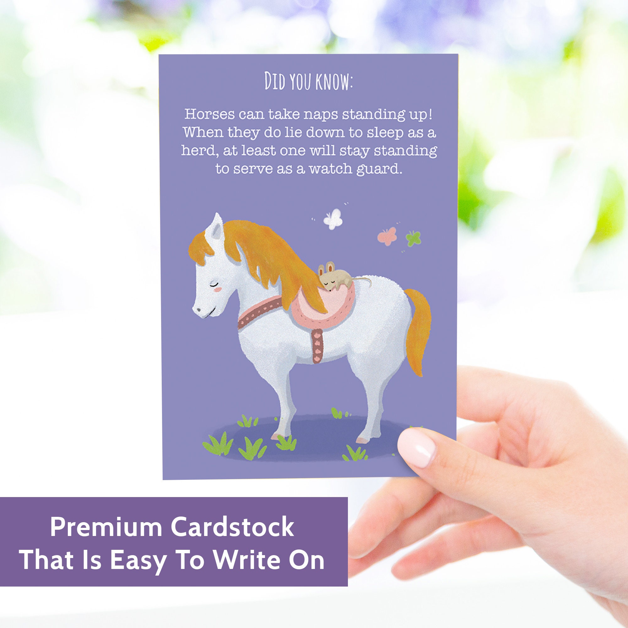 40 Animal Fun Fact Postcards Bulk Thinking of You Postcard - Etsy