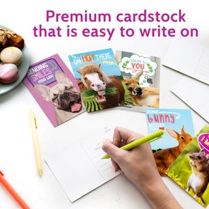 40 Funny Animal Postcards - Bulk Thinking of You Postcard Pack for Kids ...