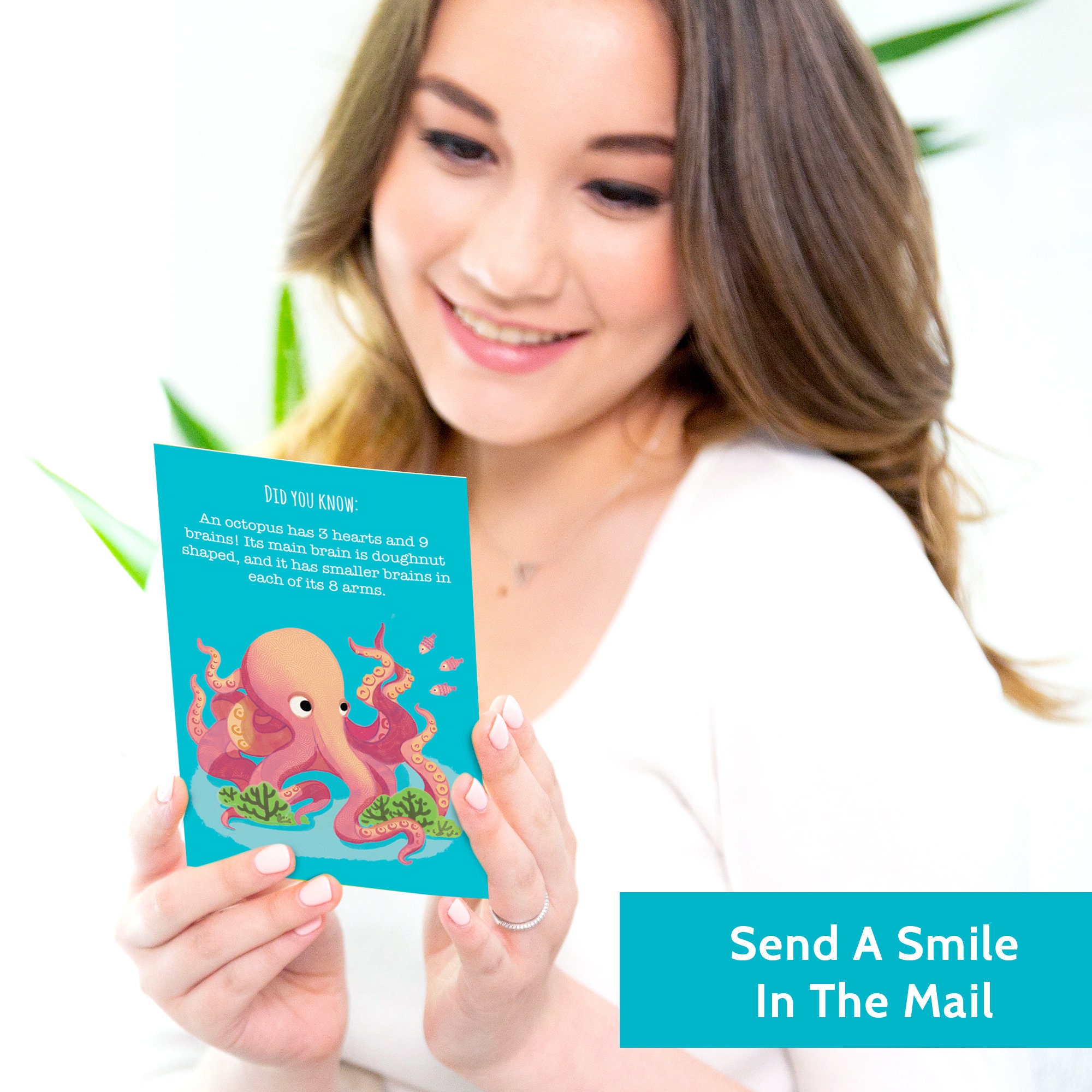 40 Animal Fun Fact Postcards Bulk Thinking of You Postcard - Etsy