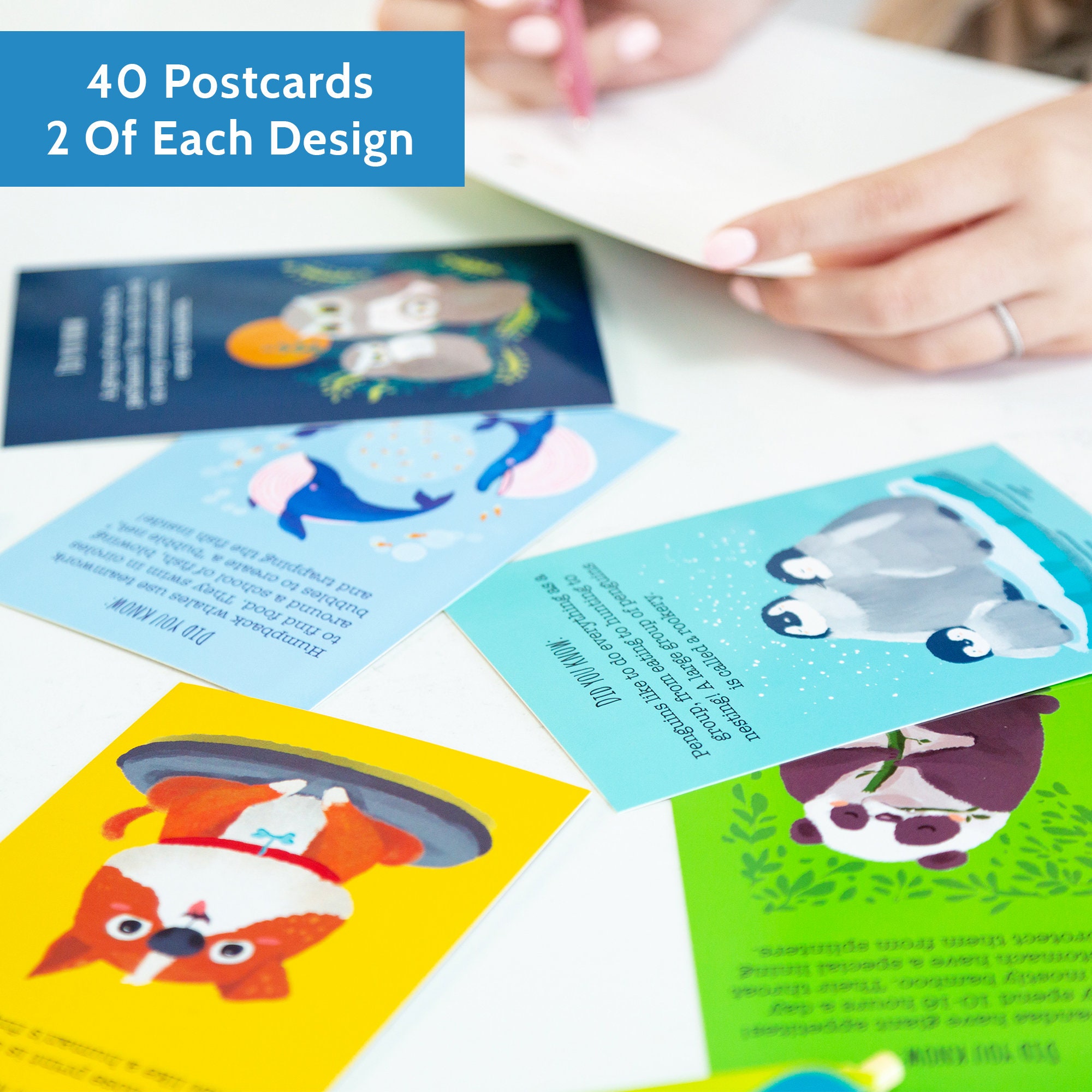 40 Animal Fun Fact Postcards Bulk Thinking of You Postcard - Etsy