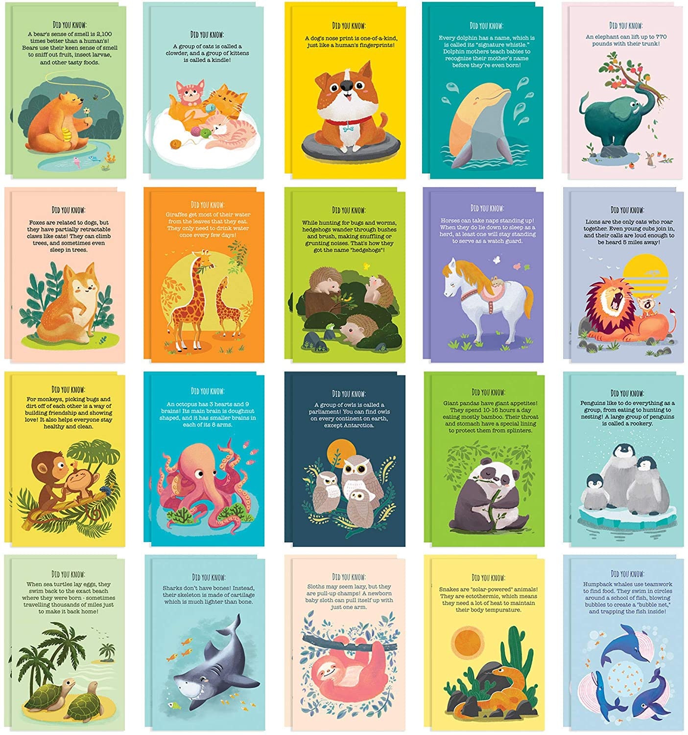 40 Animal Fun Fact Postcards Bulk Thinking of You Postcard - Etsy