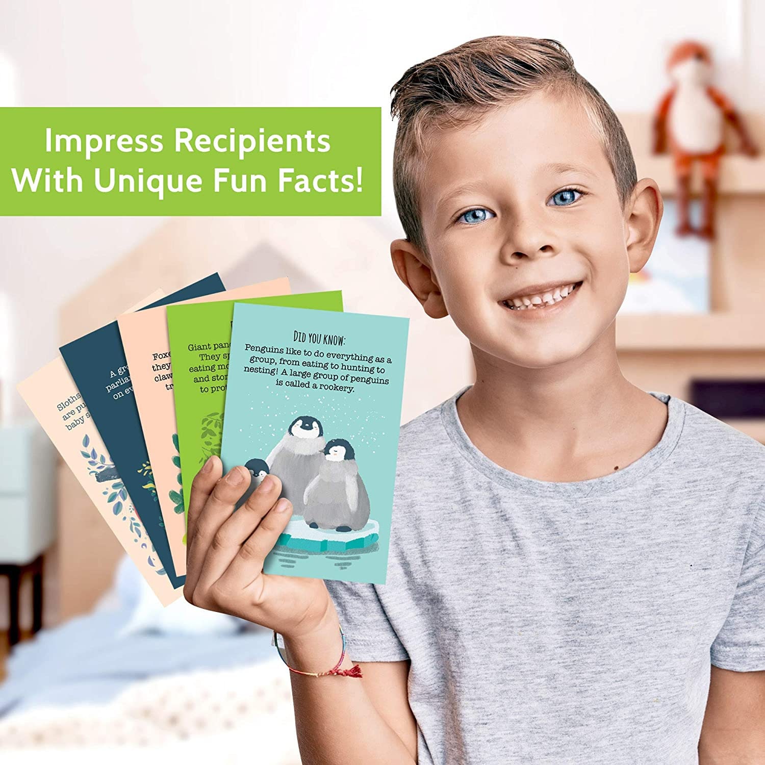 40 Animal Fun Fact Postcards Bulk Thinking of You Postcard - Etsy