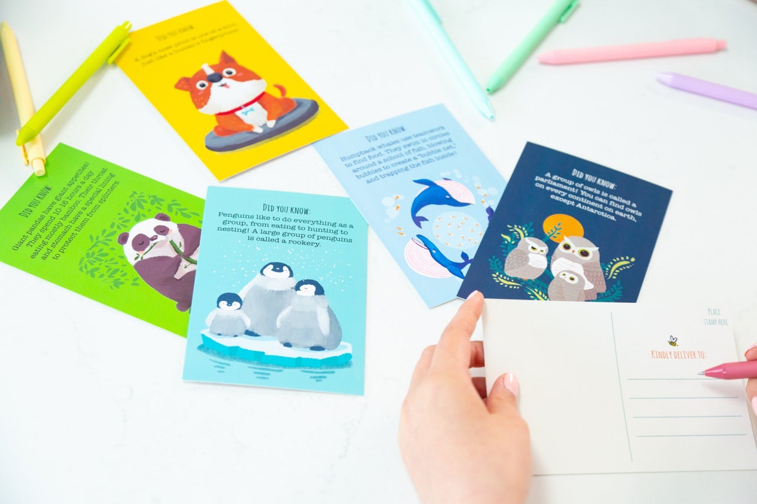 40 Animal Fun Fact Postcards - Bulk Thinking of You Postcard Pack for ...