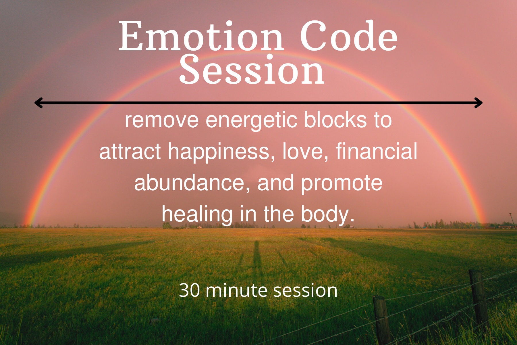 30 Minute Emotion Code Session. - Etsy