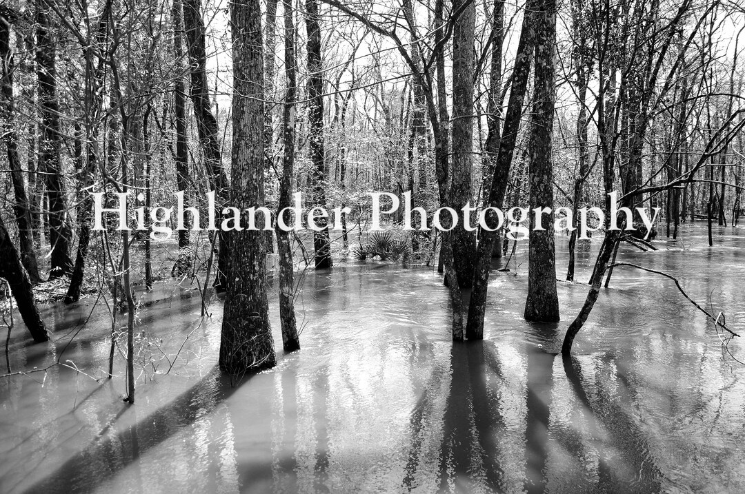 Digital Download: Vertical Islands - Etsy