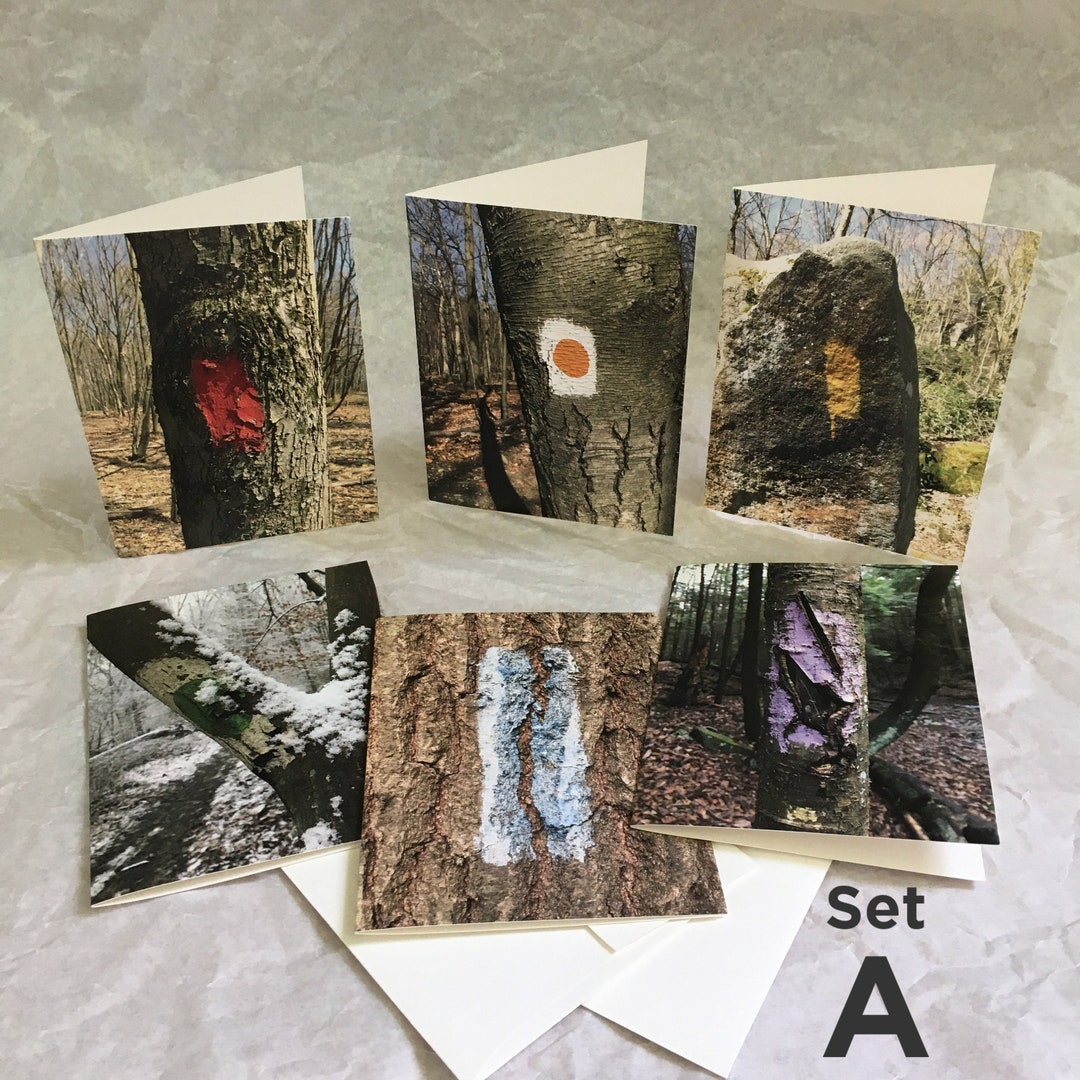 Set of 6 Notecards With Matching Envelopes - Etsy