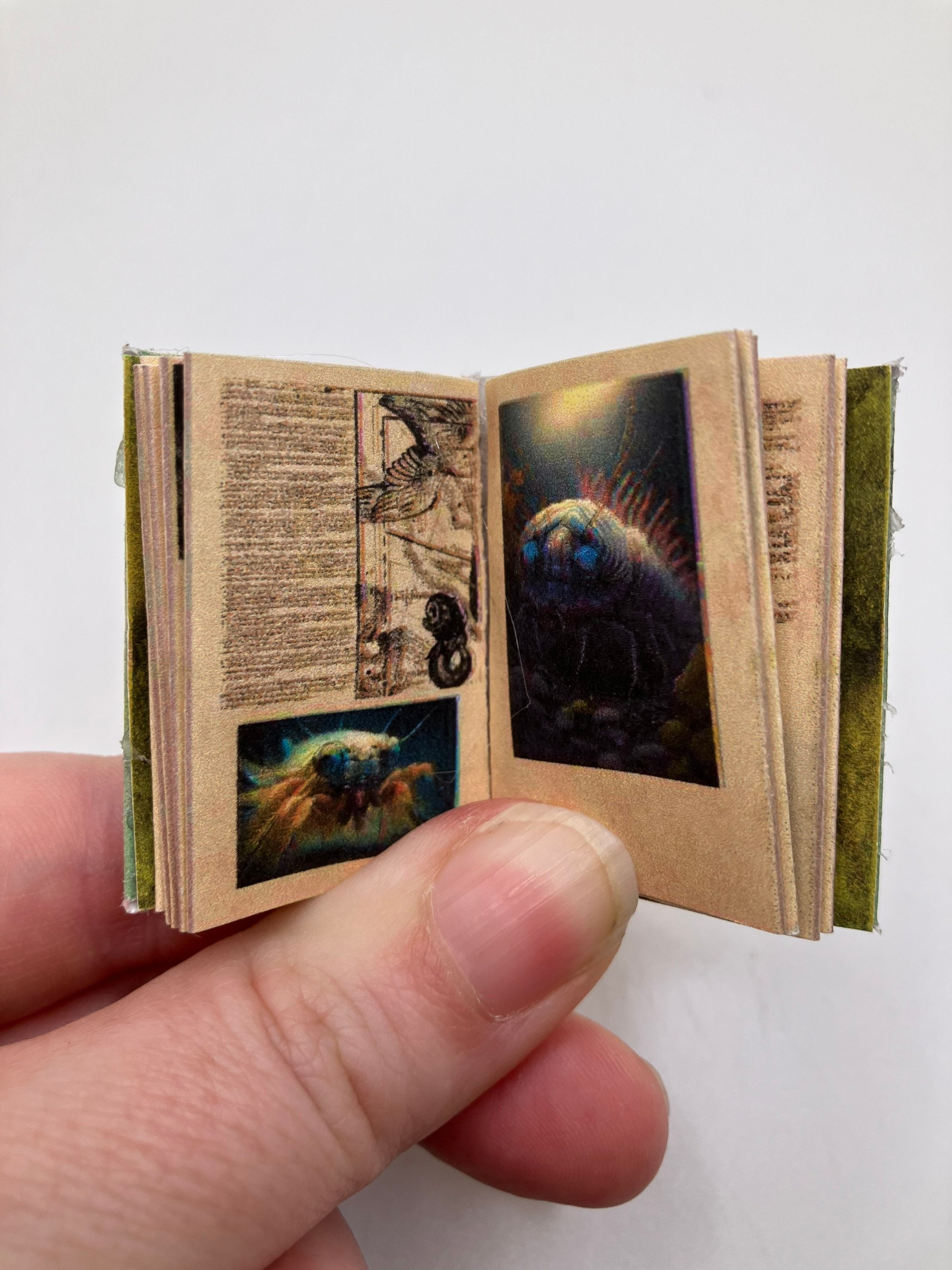 1:12 Scale DIY Printable Field Guide of Strange Creatures for - Etsy