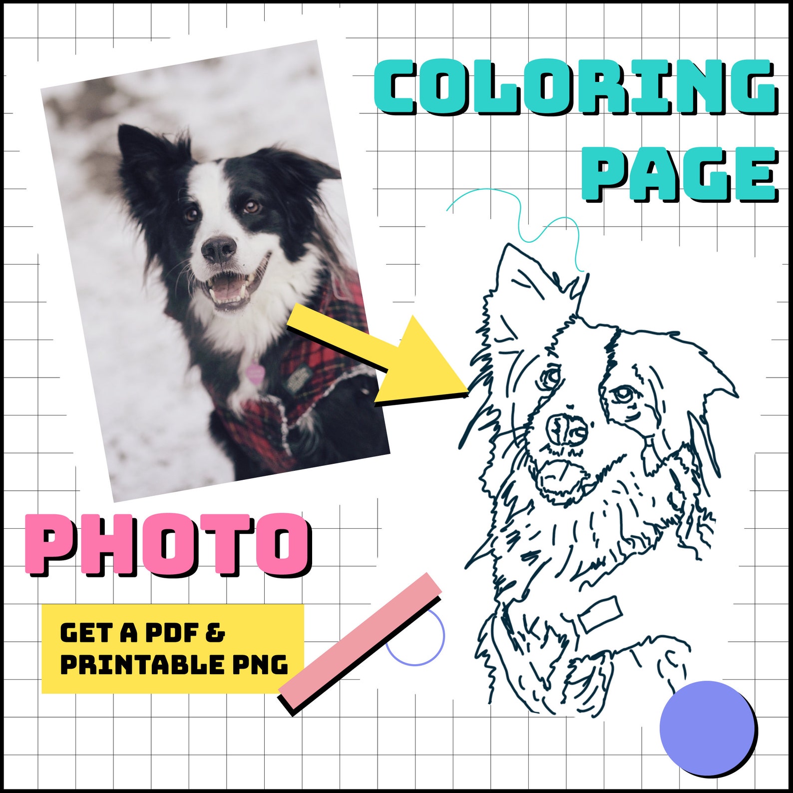 Custom Pet Coloring Page DIGITAL - Etsy