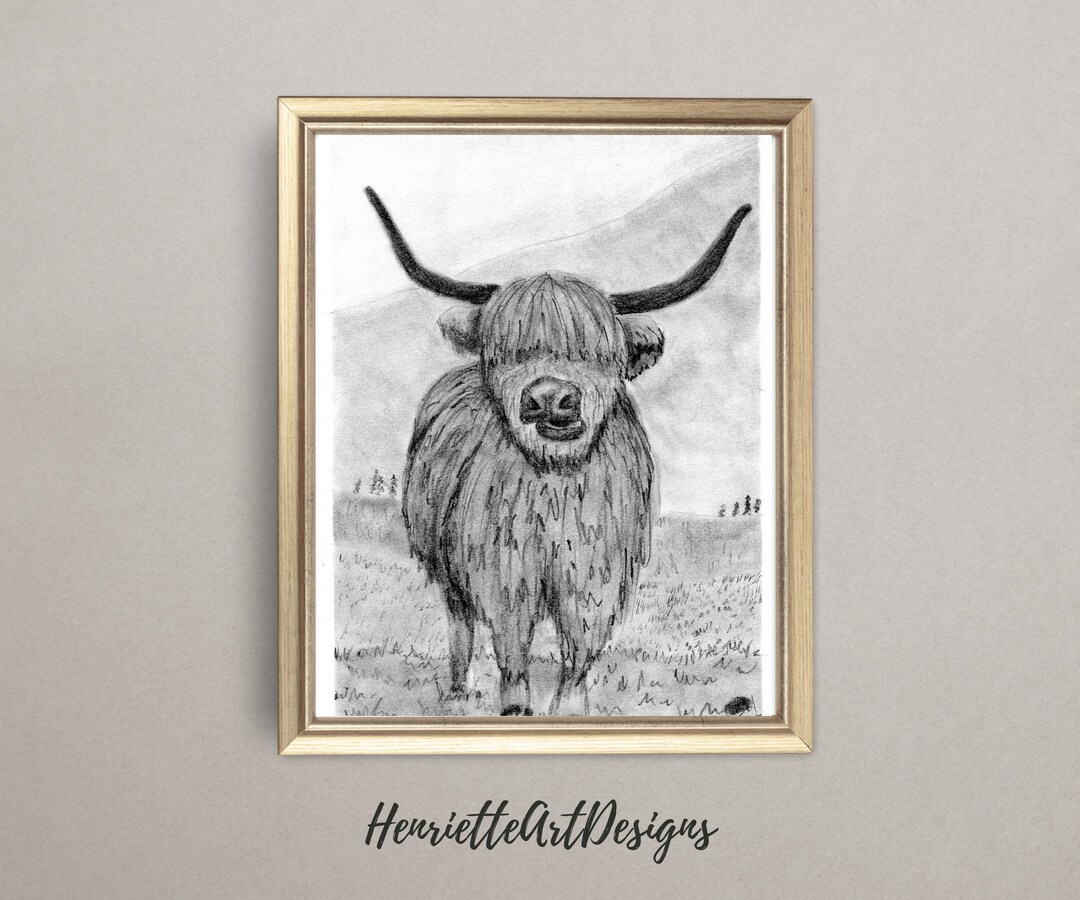 Scottish Long-haired Cow Graphite Drawing Rustic Home Decor Original ...