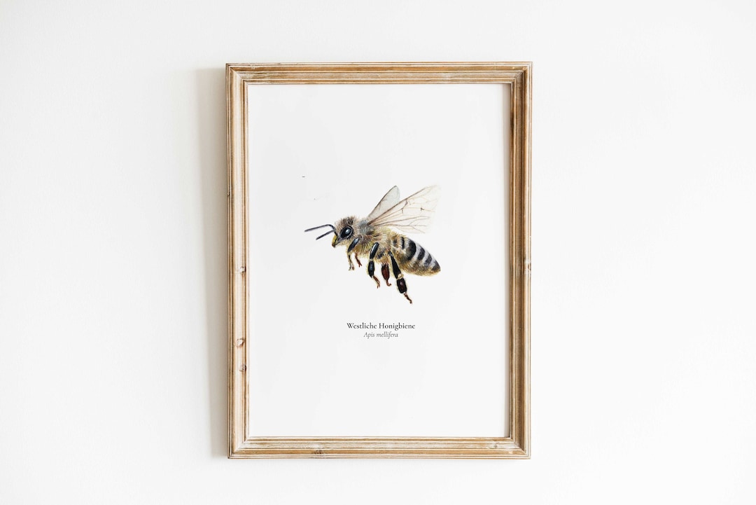 Bee Chart Poster Honey Bee Art Print DIN A5 DIN A4 - Etsy