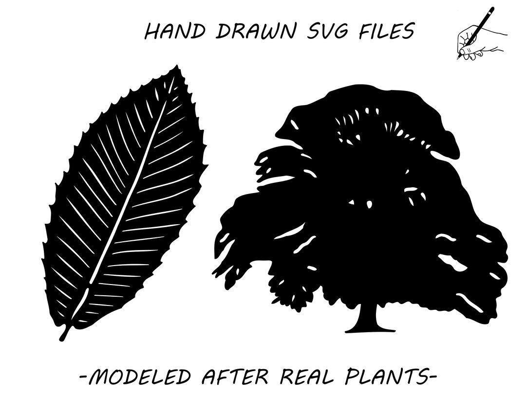 American Chestnut Leaf and Tree Hand Drawn SVG DXF, Chestnut Stencil ...