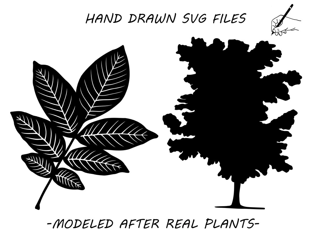 Walnut Leaf and Tree Hand Drawn SVG DXF, Walnut Stencil, Walnut ...