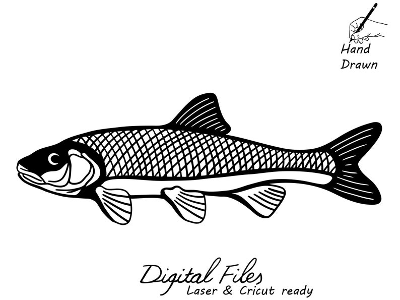 Fallfish Windfish Silver Chub Hand Drawn SVG Clipart Laser - Etsy