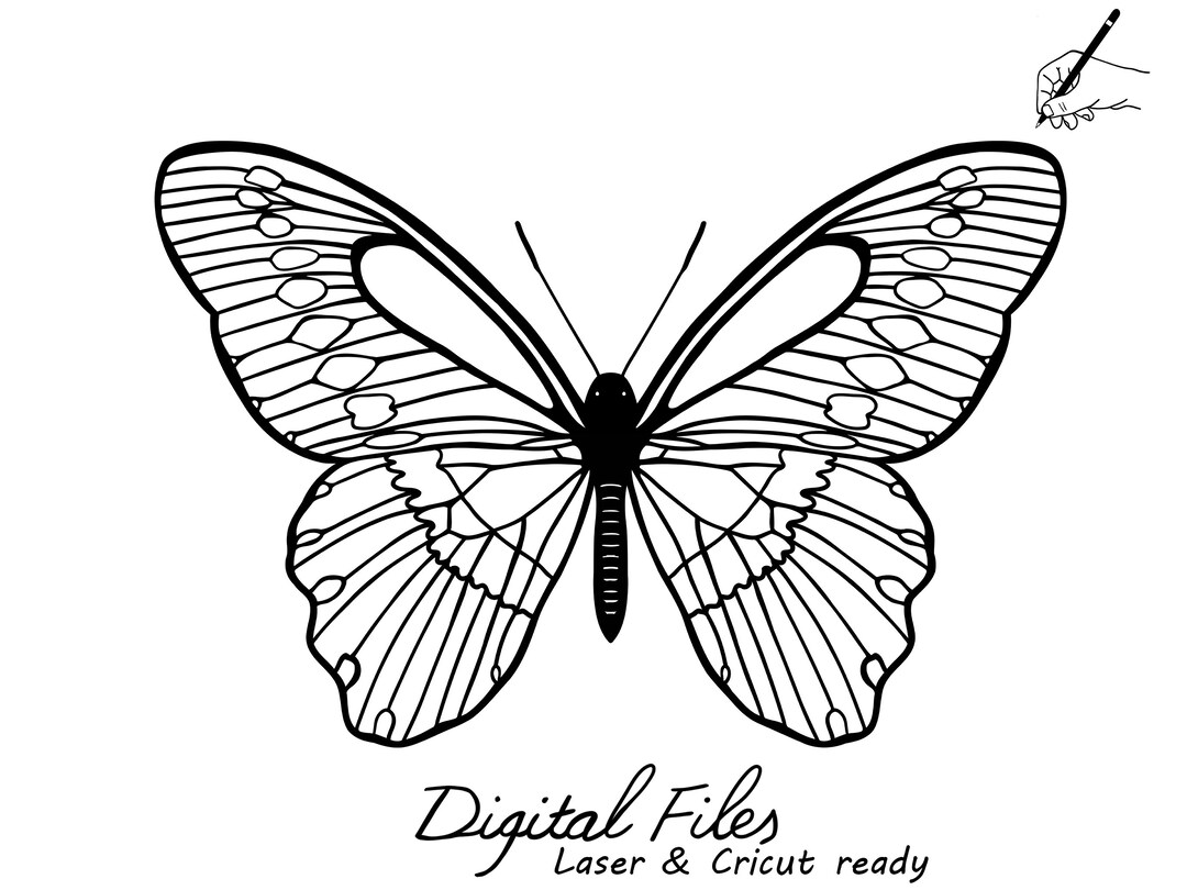 Papilio Gallienus Swallowtail Butterfly Tattoo Stencil SVG/DXF for ...