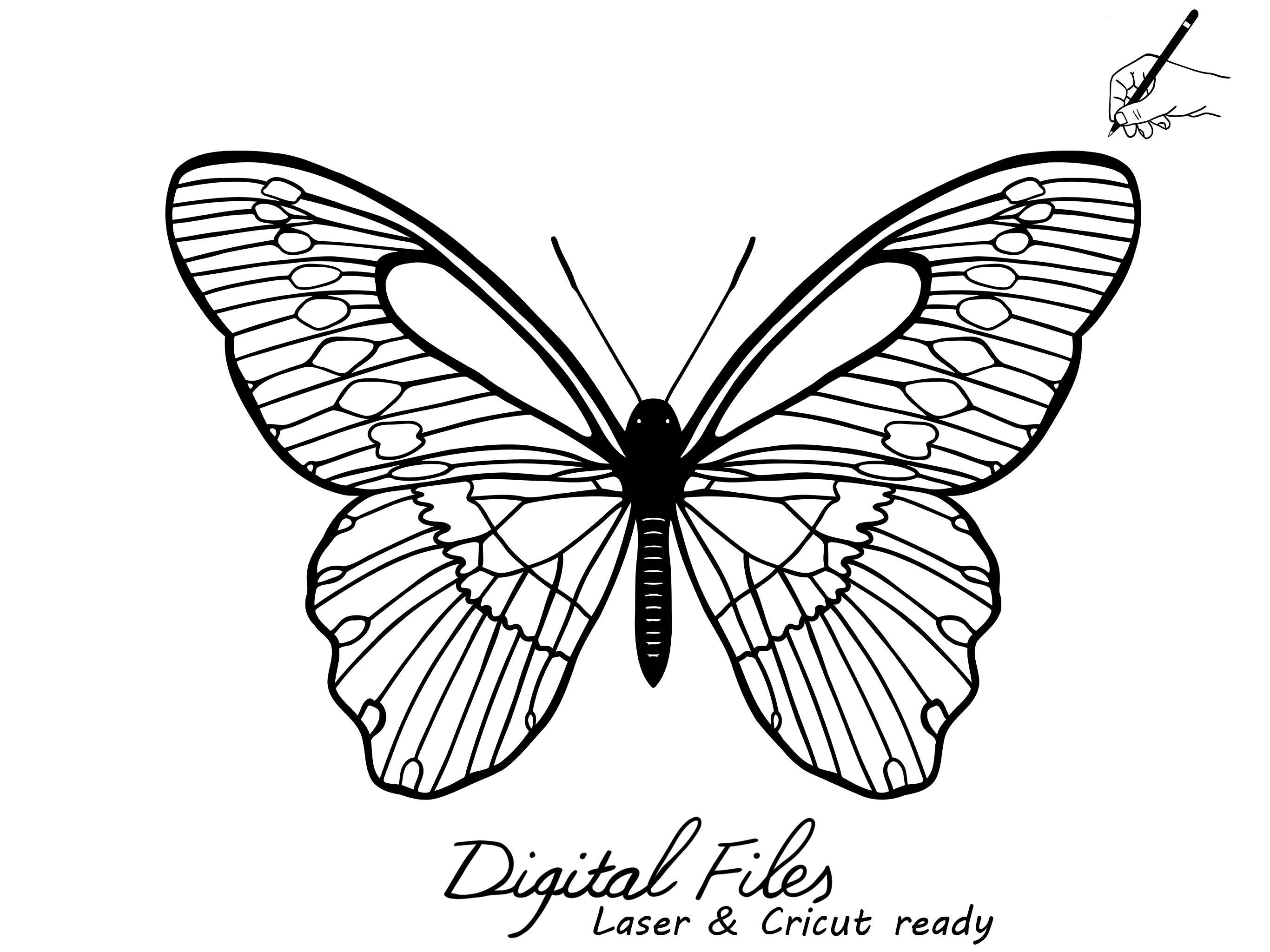 Papilio Gallienus Swallowtail Butterfly Tattoo Stencil SVG/DXF for ...